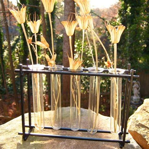 Five Piece Clear Glass Bud Vases With Metal Stand Zen Traditions