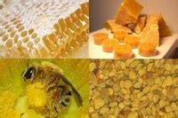 Продукция пчеловодства - Пчеловод
