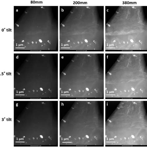 Schematic Diagram Of The Virtual Displacement Of The ADF Detector In Download Scientific