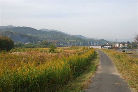 茨城の自然と歴史 晩秋の恋瀬川サイクリングコース