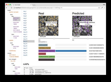 Object Detection For Crabs In Top View Seabed Imagery