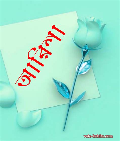 ২৩ আরিশা নামের পিক ডিজাইন [নতুন]