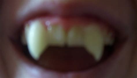 Queens Of The Wild Frontier Tuesday Tutorial Fitting Sexy Bites Fangs