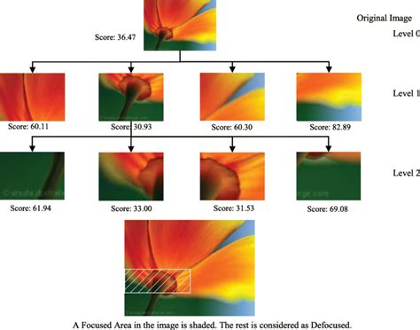 Diagram Of Quad Tree With Brisque Score Values At Each Step Download Scientific Diagram