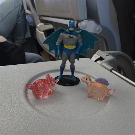 The Tiny Batman Adventures The Tiny Batman Adventures