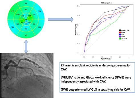 Myocardial Work By Speckle Tracking Echocardiography In Heart Transplant Recipients Association