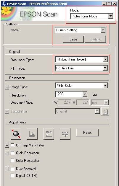 In My View Bulk Scanning With Epson Flatbed