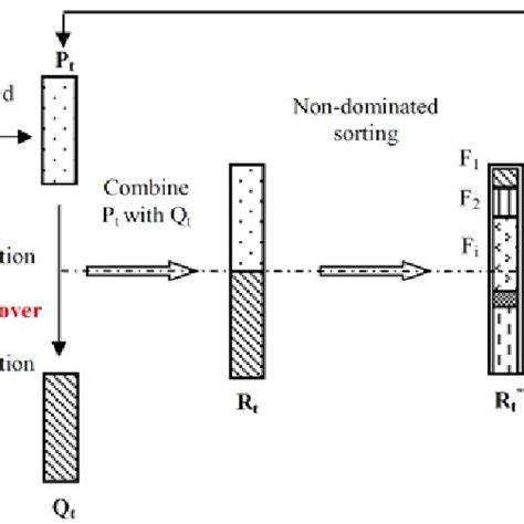 Major Process Of The C Nsga Ii Optimization Adapted From Deb Et Al