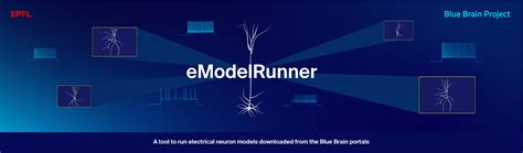 Emodelrunner Pypi Python