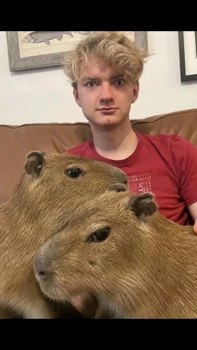 Tommyinit Edit Capcut Shorts Wii Youtube