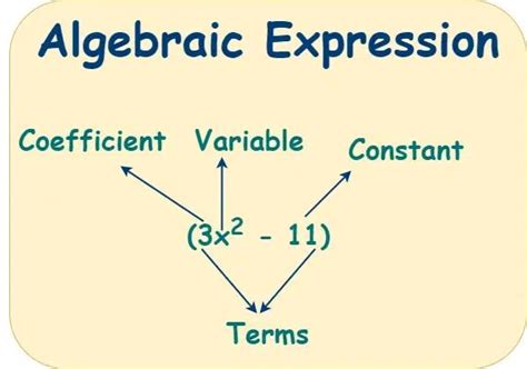 Identifying Terms In An Algebraic Expression Algebraic Expressions Math Expressions