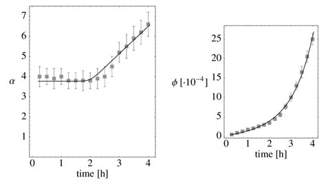 MODEL RESULTS the width α and height φ of the modified Lorentzian Download Scientific