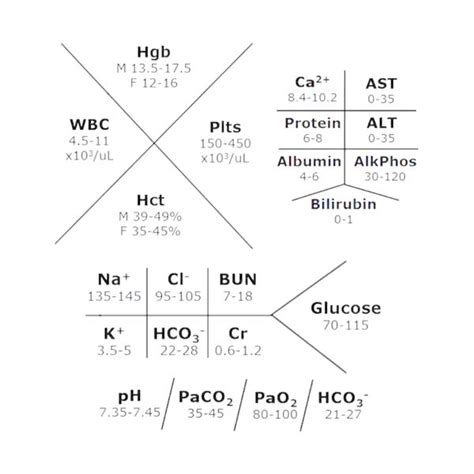 Blank Lab Fishbone Diagram