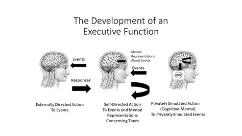 Executive Functioning Understanding And Managing Deficits By Russell A