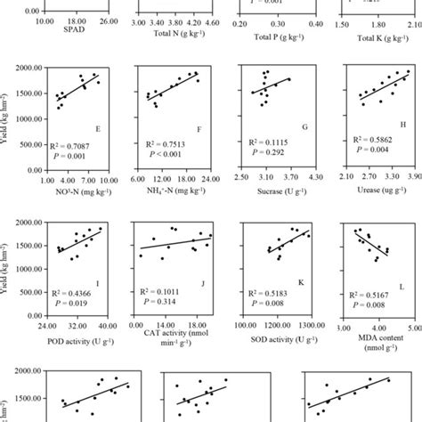 relationships between yield and the physiological metabolic traits