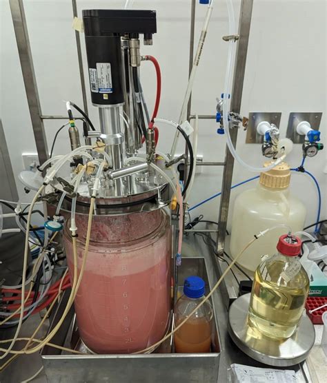 Unsw Recombinant Products Facility On Linkedin Fed Batch Process Development Li Expressing