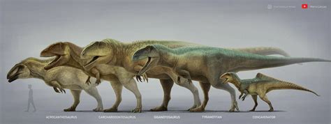 Why Did The Carcharodontosaurids Die Out While Abelisaurids And