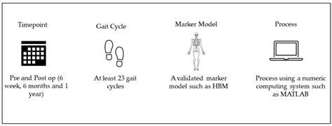 Figure 1 From Using Gait Analysis To Evaluate Hip Replacement Outcomes—its Current Use And