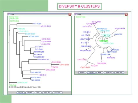 Ppt Association Mapping With Tassel Powerpoint Presentation Free Download Id1327025
