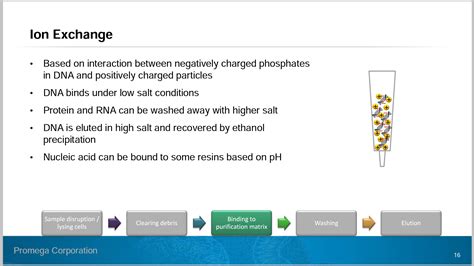How Do Silica Based Rna Spin Columns Only Bind Rna And Not Dna Researchgate