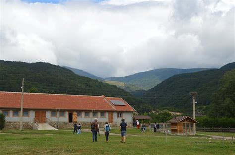 По Пътя на млякото на 22 април в биоферма Розино Български Фермер