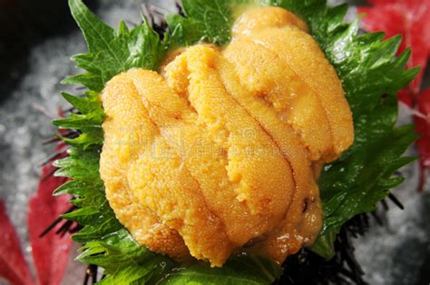 海胆高清图片 海胆刺身新鲜海胆 海胆刺身新鲜海胆图片免费下载 5151550874 千图网Pro