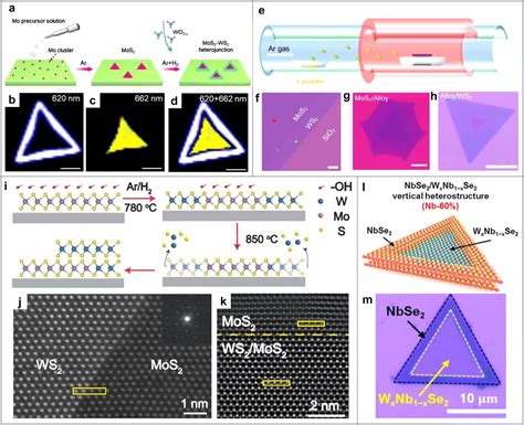 Liquid Precursor Intermediated Synthesis Of Atomically Thin Transition Metal Dichalcogenides