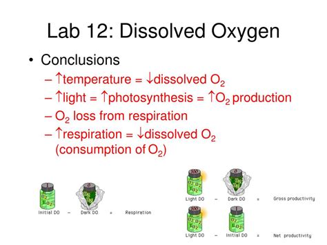 Ppt Lab 12 Dissolved Oxygen Powerpoint Presentation Free Download Id 416284