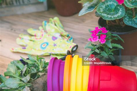 원예 도구 급수 캔 꽃 장갑 스페이드 토양 자유 텍스트 공간이있는 정원 개념 레이아웃의 봄 개체 그룹에 대한 스톡 사진 및 기타 이미지 Istock