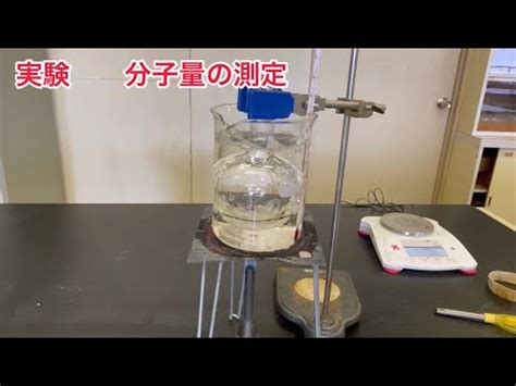 実験 分子量の測定 YouTube