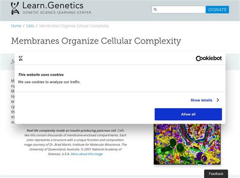 university of utah genetic science learning center membranes organize cellular complexity
