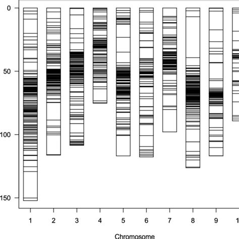 Linkage Mapping For Sex And Pigmentation Lod Scores By Binary Trait