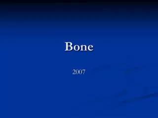 PPT BONE PowerPoint Presentation Free Download ID 1872550