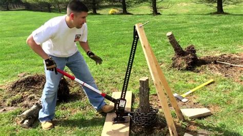 96 Garden Ideas Garden Planting Flowers Garden Landscaping