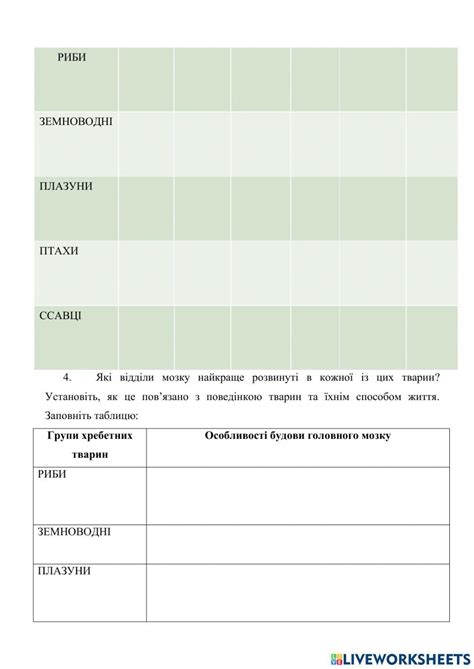 Практична робота № 6 «Порівняння будови головного мозку хребетних тварин Online Exercise For