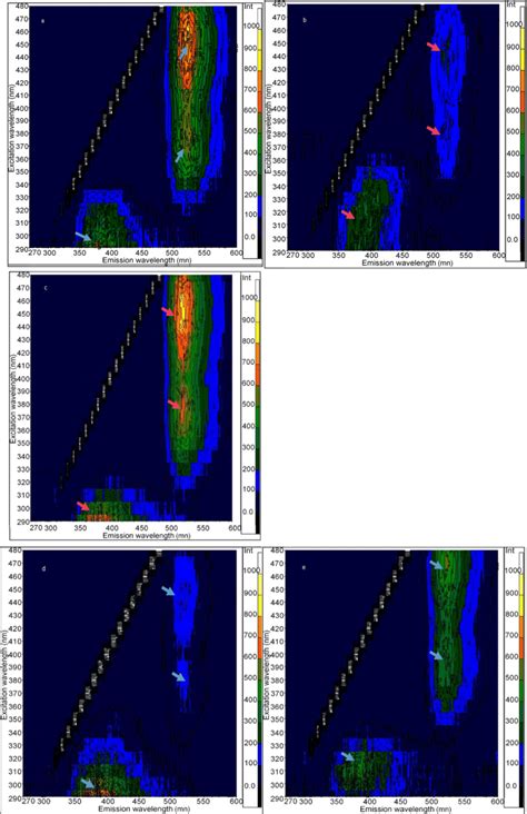 eem fluorescence contour map mucus secretion extracted with dcm peaks