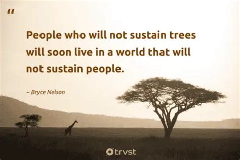 Tree Planting Quotes To Inspire You To Grow A Forest