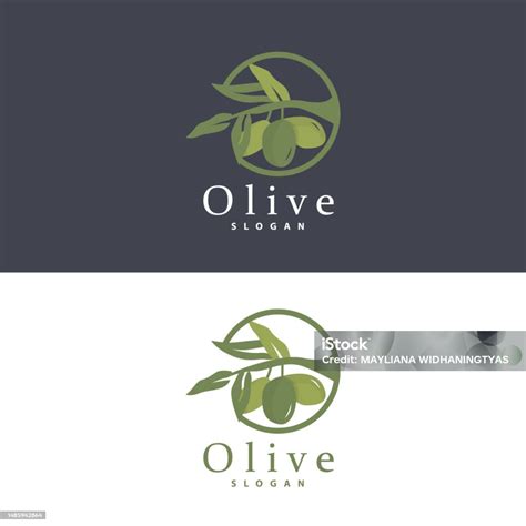 올리브 오일 로고 올리브 잎 식물 허브 정원 벡터 간단한 우아한 고급스러운 아이콘 디자인 템플릿 그림 0명에 대한 스톡 벡터 아트 및 기타 이미지 Istock