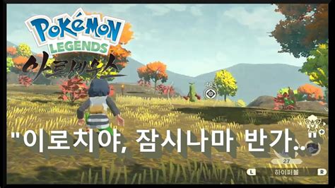 포켓몬 아르세우스 눈앞에서 놓친 이로치 꼬지모 잘가 잠시나마 반가웠어 YouTube