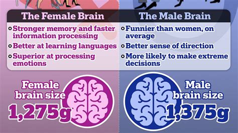 From Sense Of Direction To Rationality The Subtle Differences Between