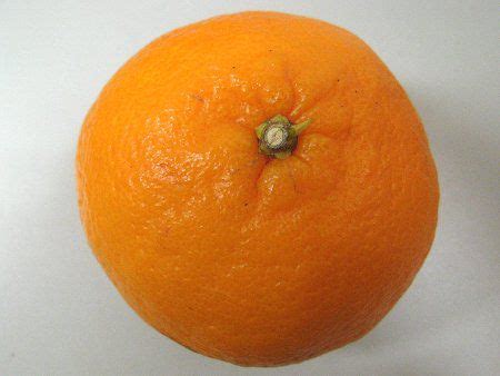 ポンカン椪柑凸柑