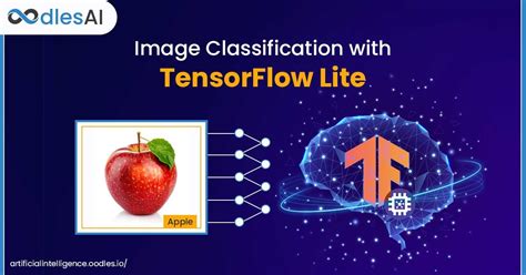 deploying image classification with tensorflow lite on android by oodles ai medium
