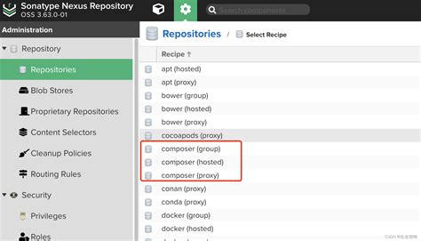 私服源平台nexus安装and支持php Composernexusphp Csdn博客