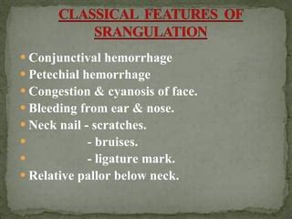 Sex From Skeleton PPT