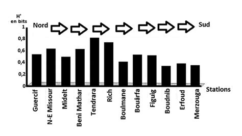 Spatial Variation Of Diversity H Download Scientific Diagram