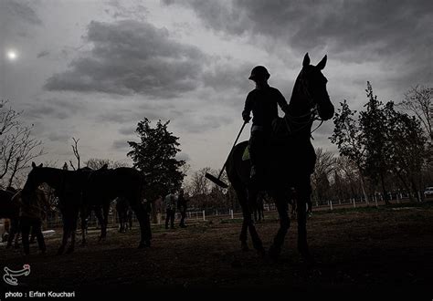 دهخدایی در تلاشیم تیم های چوگان را افزایش دهیم تسنیم