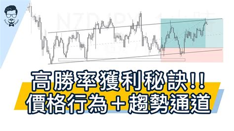 【價格行為】高勝率獲利秘訣 價格行為與趨勢通道｜外匯大叔｜外匯課程 Youtube