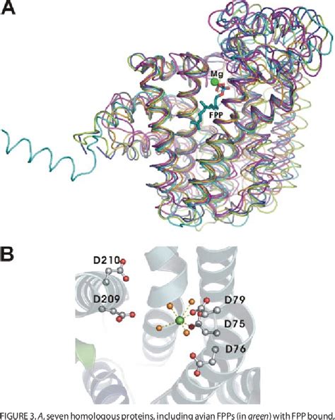 Figure 3 From Crystal Structure Of Type Iii Geranylgeranyl Pyrophosphate Synthase From