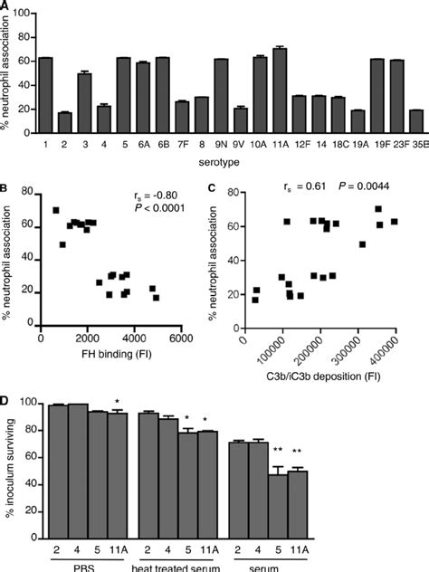Complement Dependent Neutrophil Phagocytosis Of Capsule Switched Download Scientific Diagram