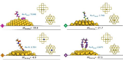 S In Solvent Optimized Structures Obtained At The Pbe D3 Level Of The Download Scientific